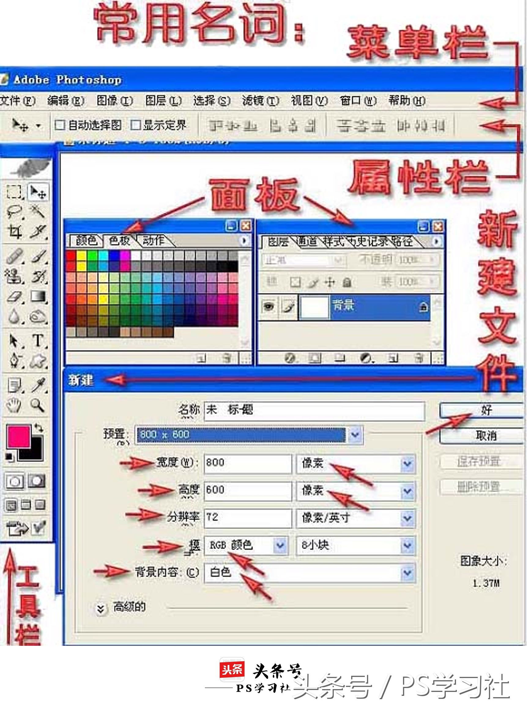 Ps入门:快速掌握ps的基本工具和操作 Divcss5